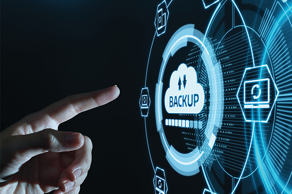 Keep Your Professional Data Safe and Secure - Forrit Credit Union